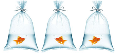 Plastic Fish Bags - Tropical Fish Bags