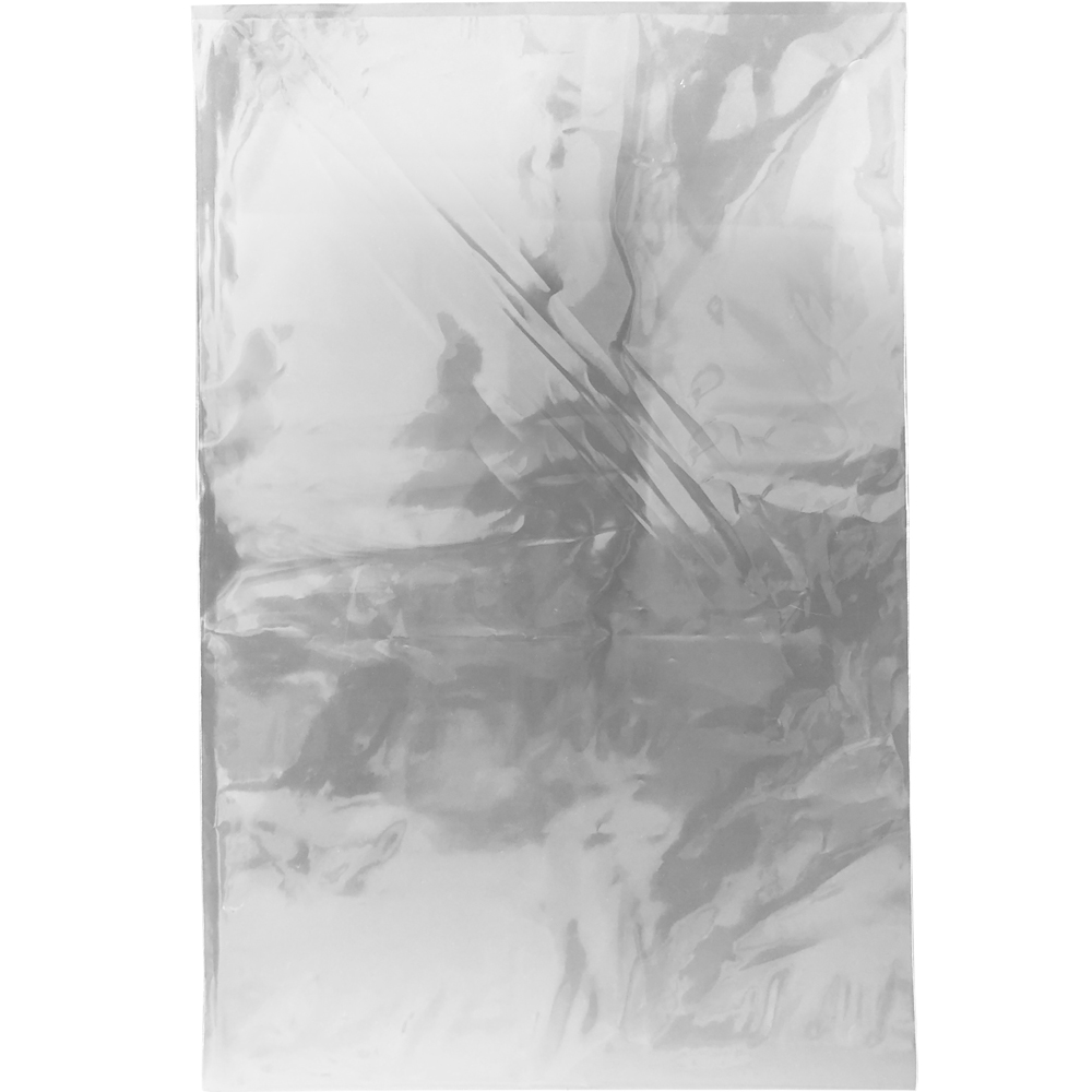 8" x 12" 2 Mil Poly Bags